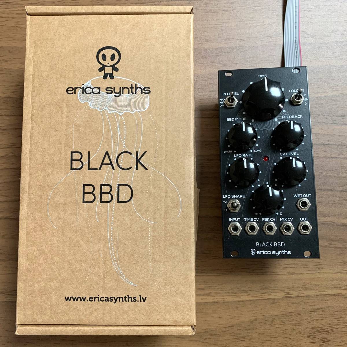 Erica Synths - BLACK BBD モジュラーシンセ ディレイ ユーロラック(その他)｜売買されたオークション情報、yahooの ...