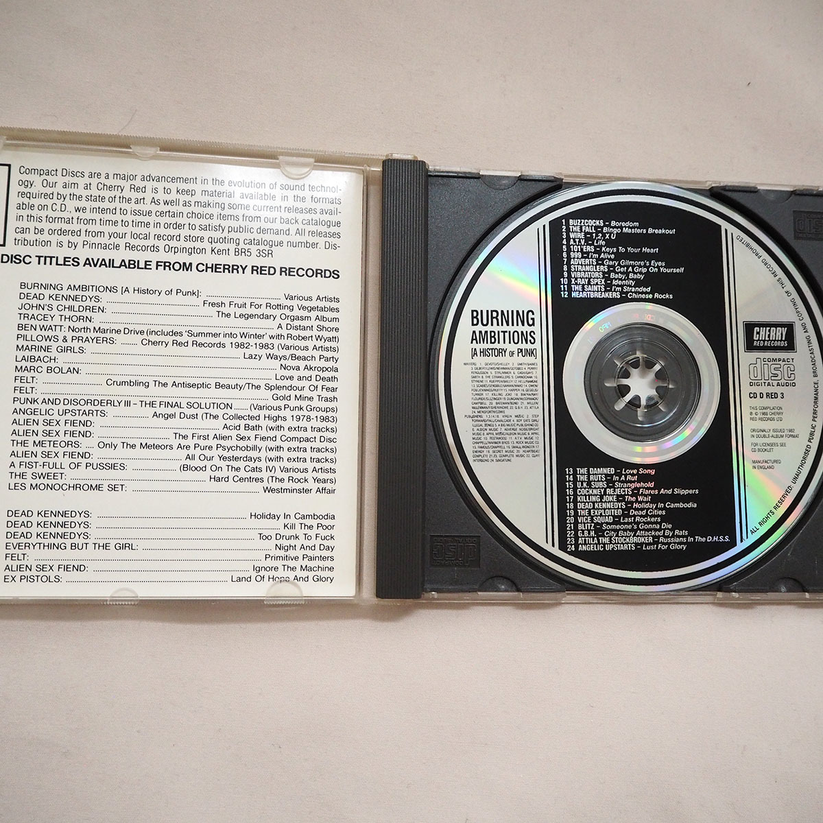 Burning Ambitions A History Of Punk パンクの歴史 Buzzcocks Wire Stranglers ...