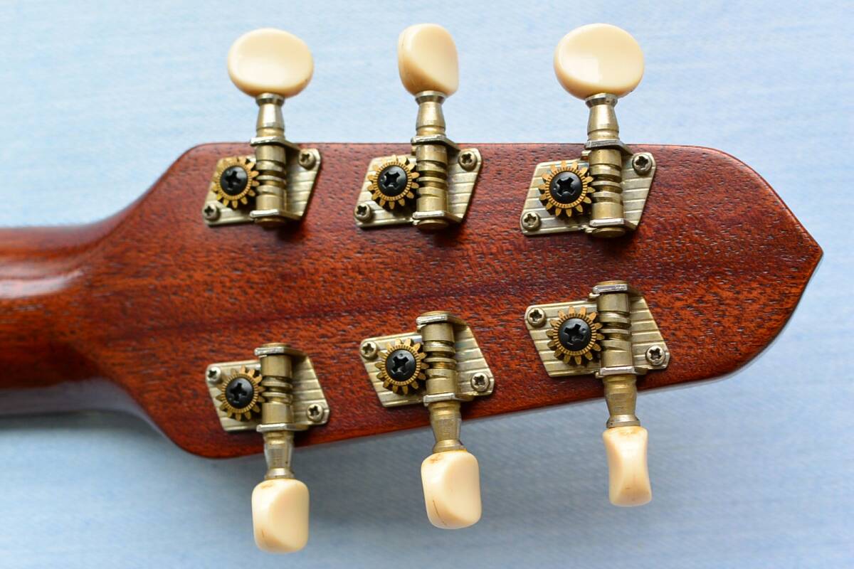 Gigpacker VRF-Ⅱ ギグパッカー 総単板 90年代 ピックアップ付き ハードケース Terada Factory Travel ...