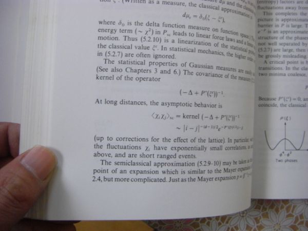 物理洋書 Quantum physics : a functional integral point of view：James Glimm ...