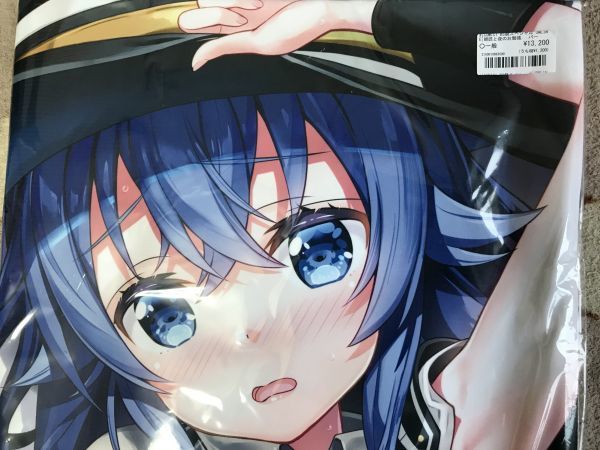 正規品 無職転生 抱き枕カバー ロキシー 藤真拓哉 /ESSENTIA エアコミケ3 メロンブックス COMIC1 BS祭 スペシャル/Yan-Yam(抱き枕)｜売買されたオークション情報 ...