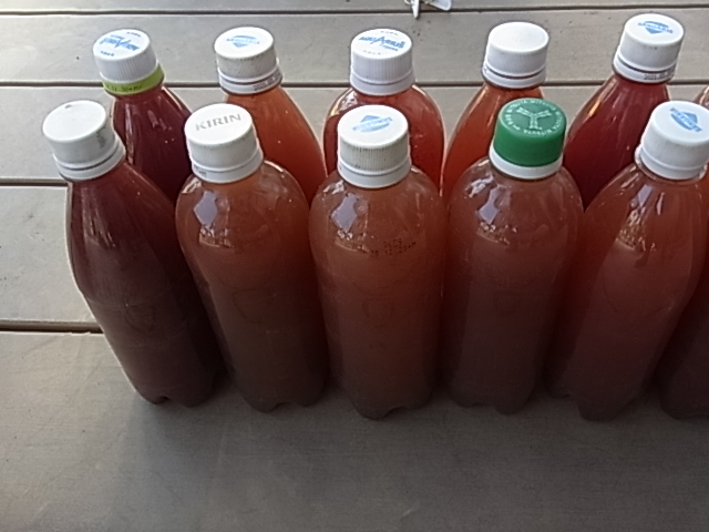 PSB 光合成細菌 訳あり 5L以上 5000ml ゆうパックおてがる版(バクテリア)｜売買されたオークション情報、yahooの商品情報をアーカイブ公開 - オークファン（aucfan.com）