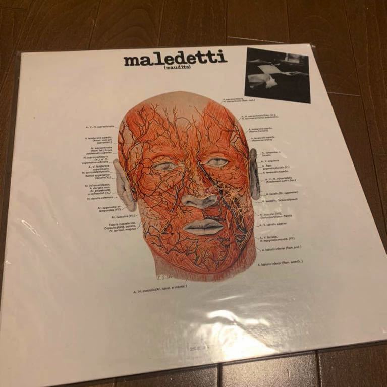 レア Area アレア - Maledetti Maudits 再発レコード(一般)｜売買されたオークション情報、yahooの商品情報を ...