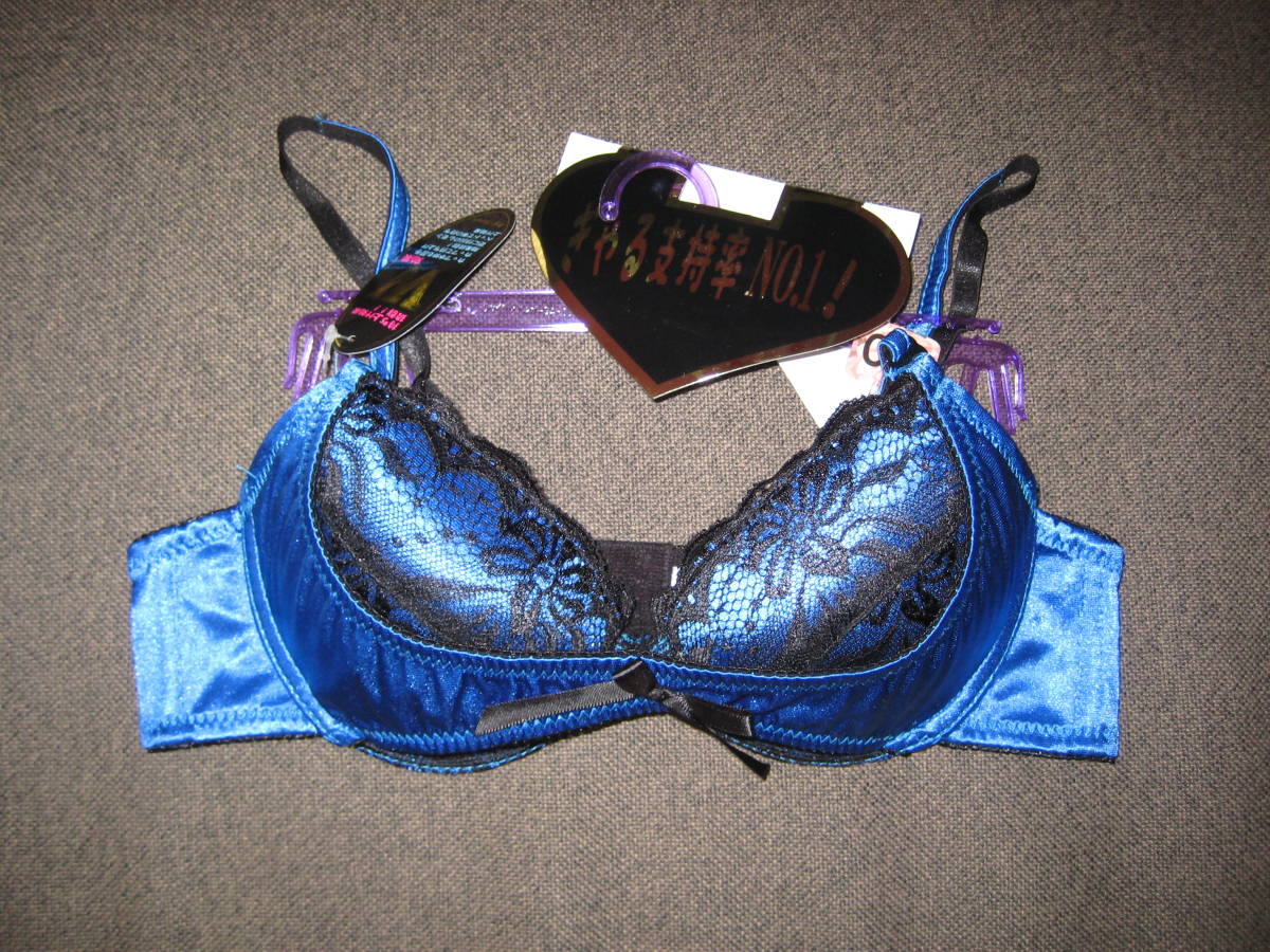 C80 超光沢 つるつるサテン ブラ ブルー/青 タグ付 SANEI(80以上)｜売買されたオークション情報、yahooの商品情報をアーカイブ公開 - オークファン（aucfan.com）