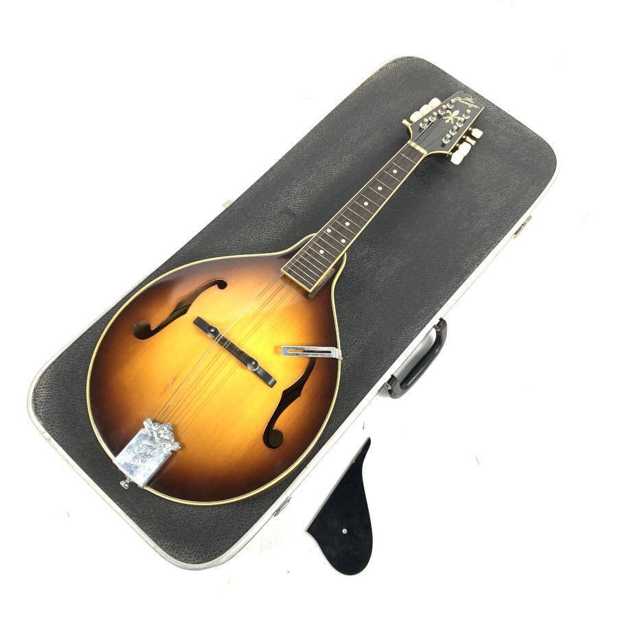 KASUGA カスガ M-25 フラット マンドリン シリアルNo.0168 ハードケース付き 現状品(マンドリン)｜売買されたオークション ...