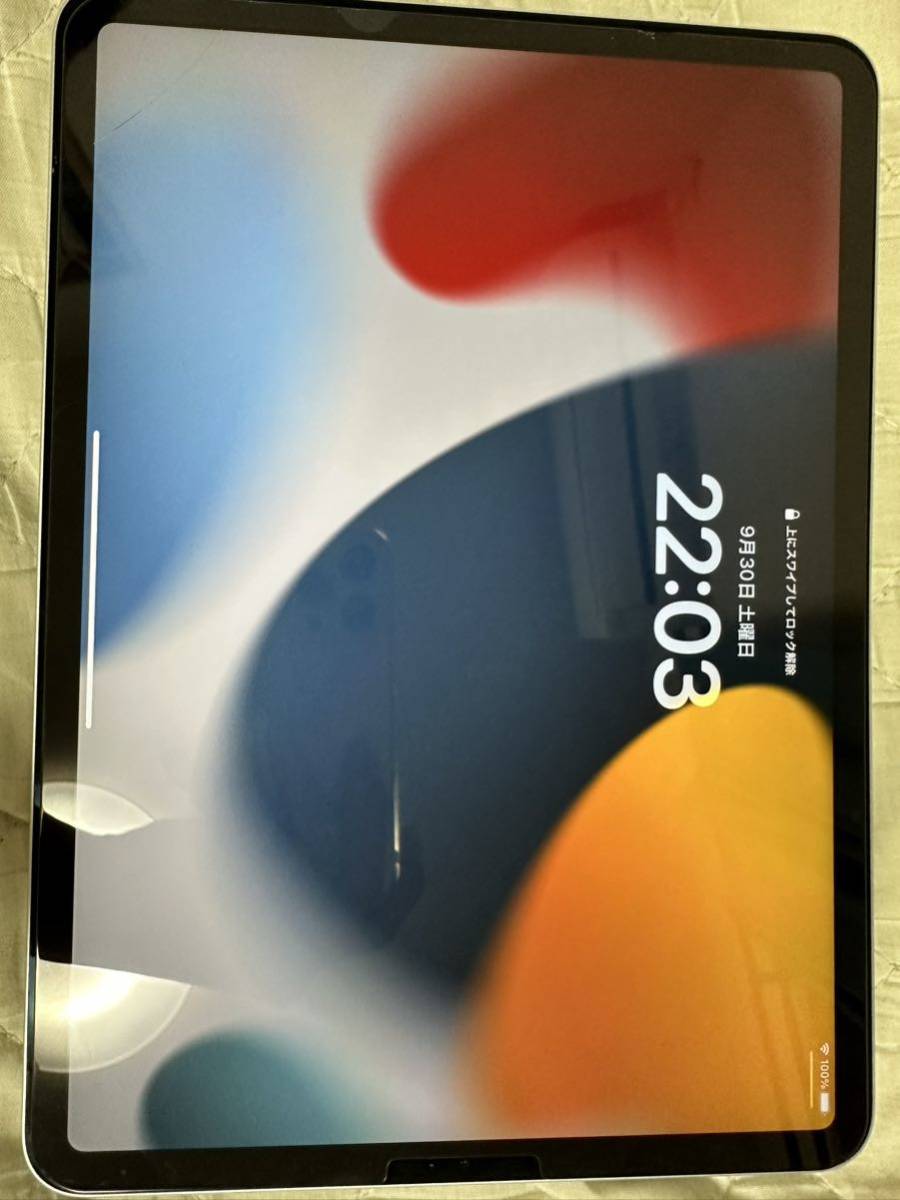 iPadPro11 第1世代(iPad本体)｜売買されたオークション情報、yahooの商品情報をアーカイブ公開 - オークファン（aucfan.com）
