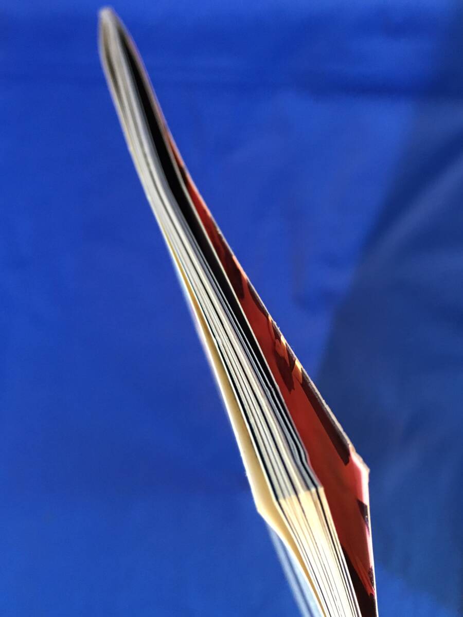 D400サ REBECCA Magazine for Touch Them レベッカ ツアーパンフ BLOND SAURUS 1989年 ...