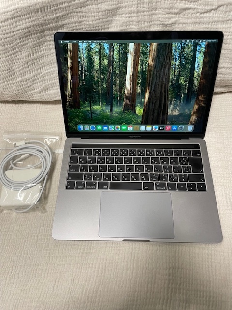 2019 Macbook Pro 13インチ Model A2159 Core i5 Mem 16GB SSD 256GB TouchBar ...