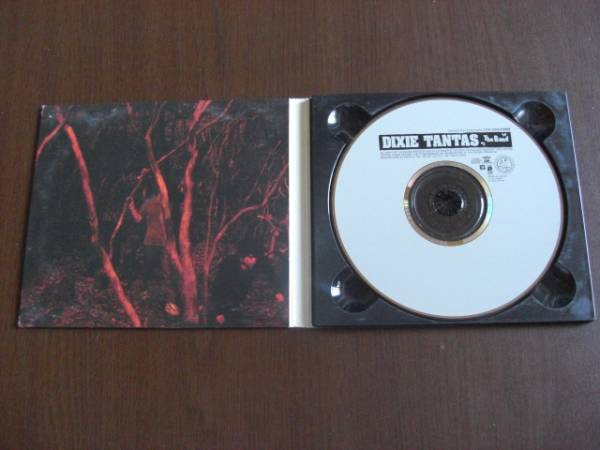 デキシータンタス DIXIE TANTAS The Band 全12曲(その他)｜売買されたオークション情報、yahooの商品情報をアーカイブ ...