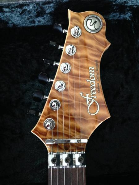 Freedom Custom Guitar Research HYDRA FRT 晩秋(その他)｜売買されたオークション情報、yahooの商品 ...