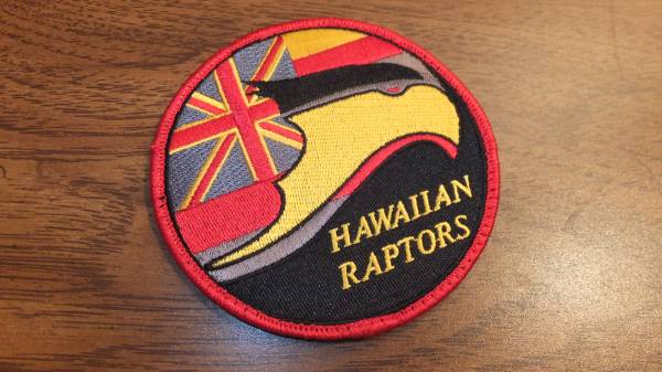 USAF 199th FS F-22ラプターハワイ 154th wing 米空軍パッチ(部隊章、階級章)｜売買されたオークション情報 ...