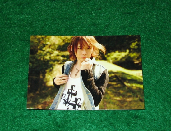 #12 トレカ ROOT FIVE ルートファイブ ぽこた D(ミュージシャン)｜売買されたオークション情報、yahooの商品情報をアーカイブ公開 - オークファン（aucfan.com）