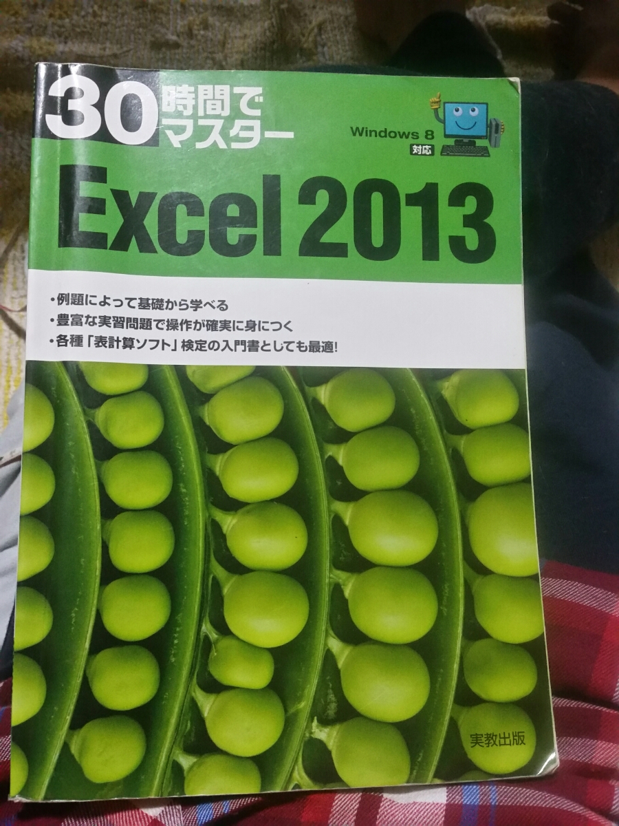 30時間 マスター EXCEL2013(その他)｜売買されたオークション情報、yahooの商品情報をアーカイブ公開 - オークファン（aucfan.com）