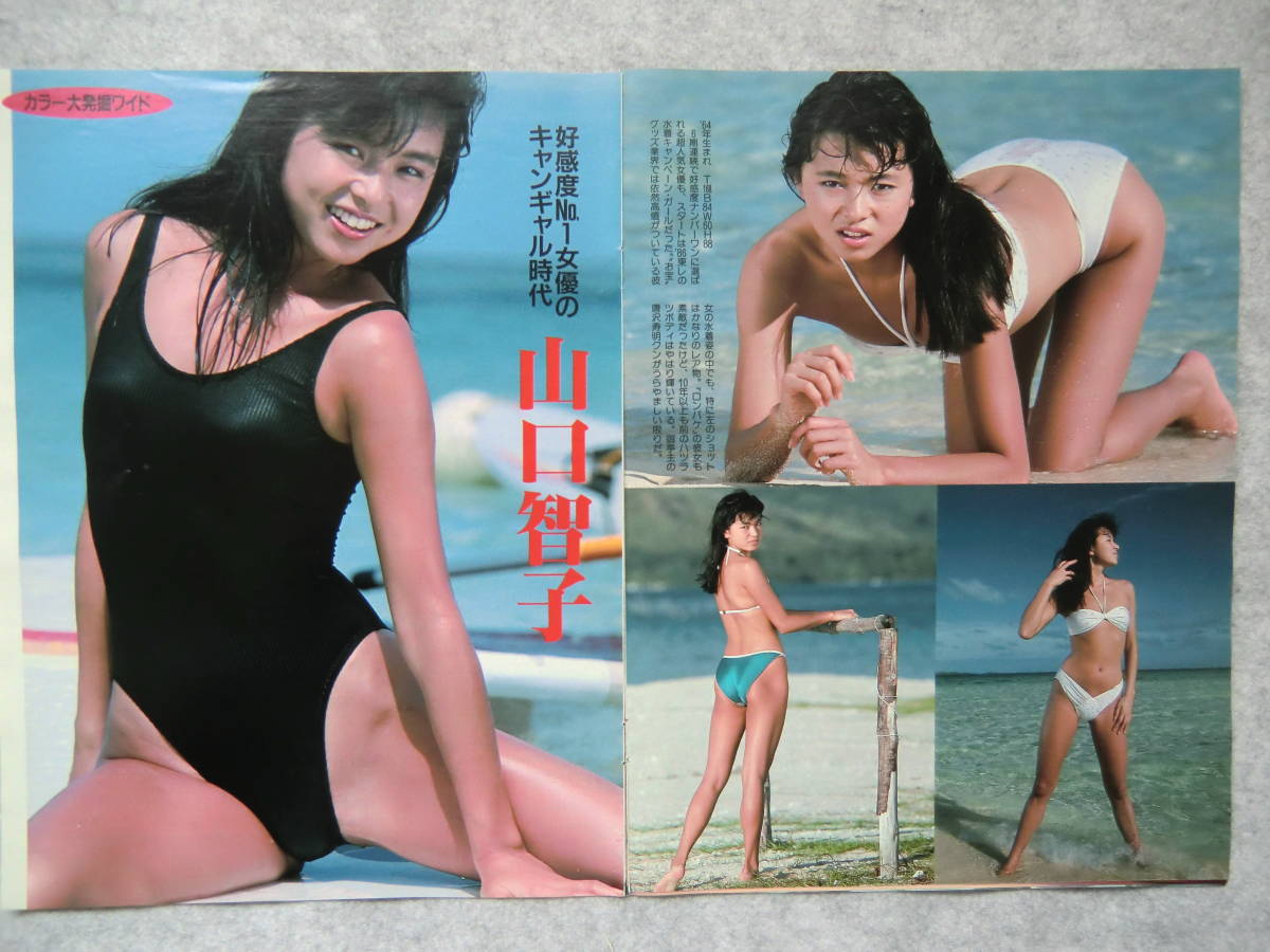 大発見 軌跡の生セクシーBIG3 切り抜き8P 石田ゆり子 石田ひかり 山口智子(タレント)｜売買されたオークション情報、yahooの商品情報をアーカイブ公開 - オークファン（aucfan.com）