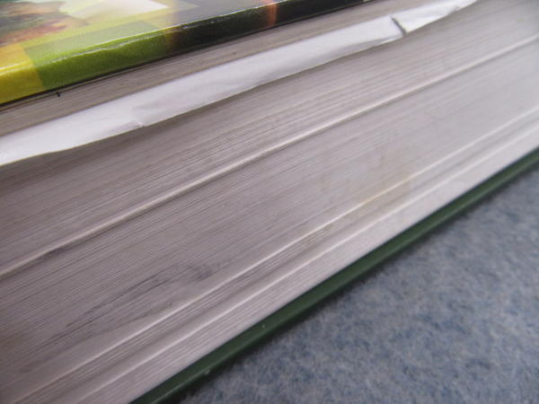 LN13-027 Saunders Textbook of Pediatric Infectious Diseases 6th edition ...