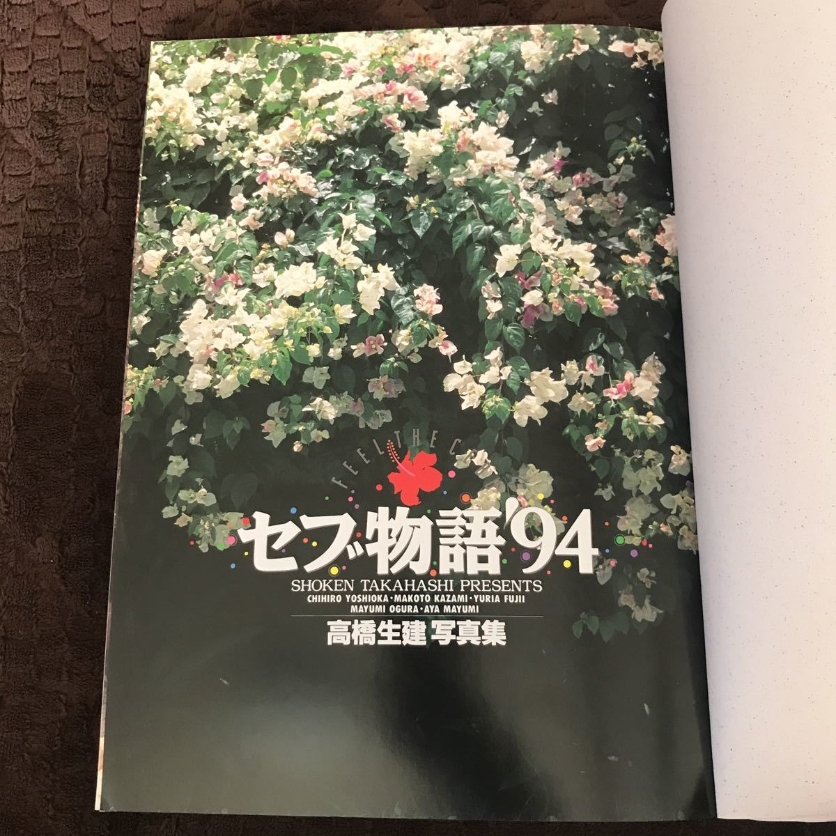 セブ物語'94 写真集 高橋生建 CHIHIRO YOSHIOKA MAKOTO KAZAMI YURIA FUJII MAYUMI ...