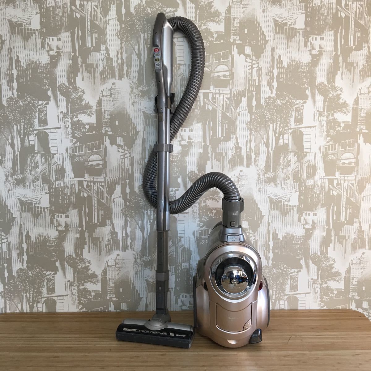 1円スタート SHARP サイクロン掃除機 EC-VX2-P シャープ 2008年製 7.0キロ ピンク プラズマクラスター ファミリー ペット(シャープ)｜売買されたオークション情報 ...