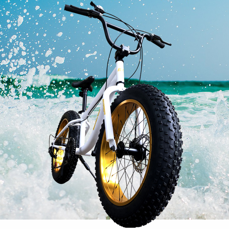 F120WT 迫力の極太 EIZERアイゼルF120 ファットバイク Wディスクブレーキ シマノ7速 20インチ GOLDENリム仕様 白 1円(ビーチクルーザー)｜売買されたオークション情報 ...