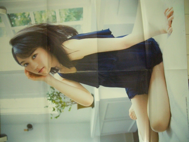 乃木坂46 生田絵梨花 松村沙友理 寺田蘭世 佐々木琴子 伊藤かりん 両面ポスター FLASHスペシャル 2016年 GW号 特別付録(あ行)｜売買されたオークション情報、yahooの商品情報 ...