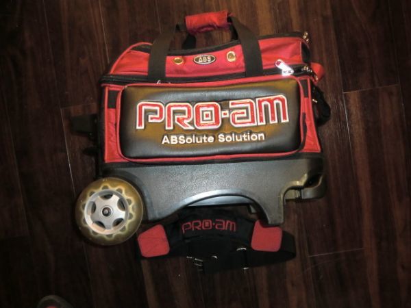 ABS PRO-am 2個用カート バック 2ボールローラー ABSOLUTE Solution(ボール)｜売買されたオークション情報、yahooの商品情報をアーカイブ公開 - オークファン ...