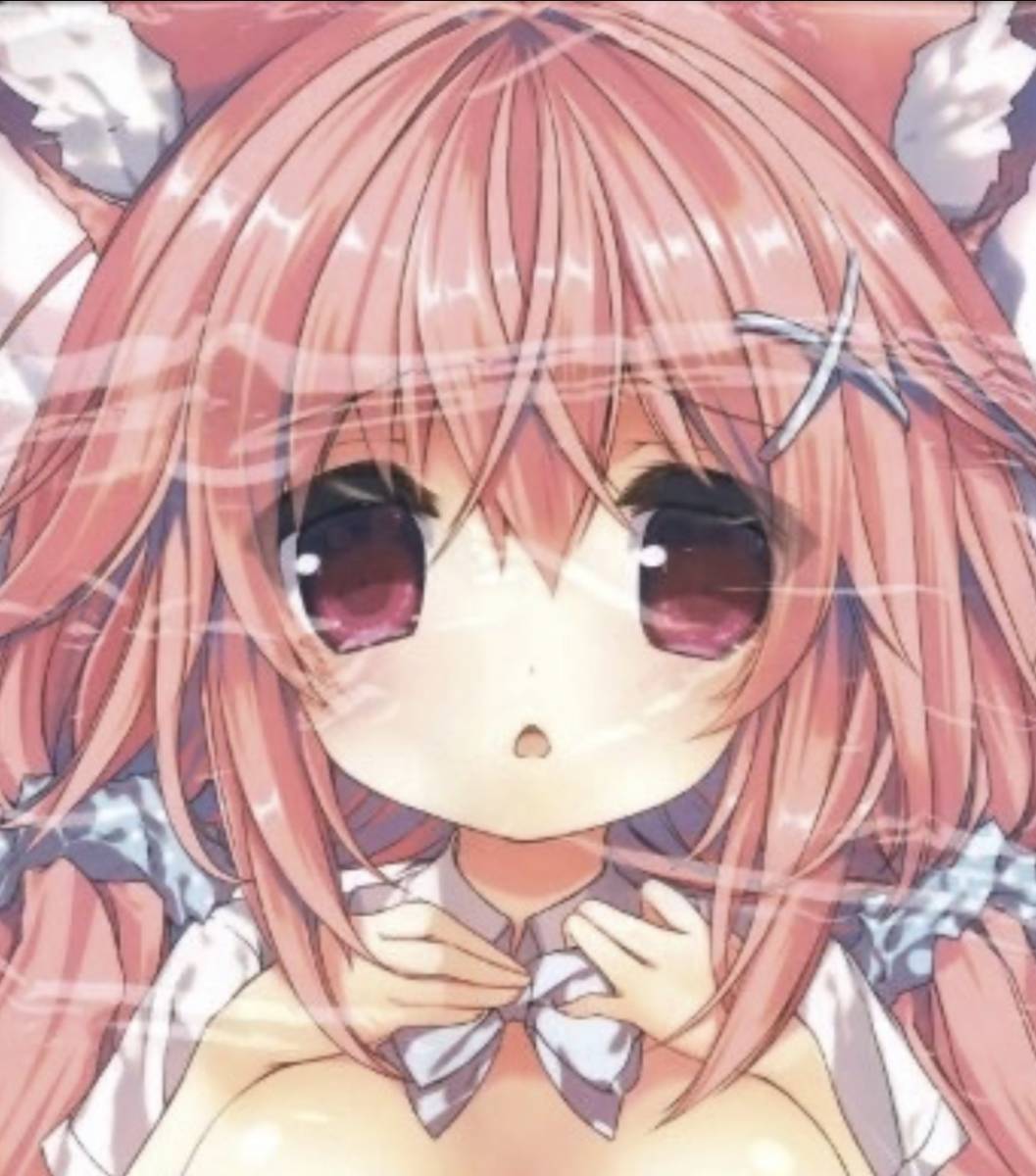 p19 practice オリジナル 耳っ娘抱き枕カバー(抱き枕)｜売買されたオークション情報、yahooの商品情報をアーカイブ公開 - オークファン（aucfan.com）