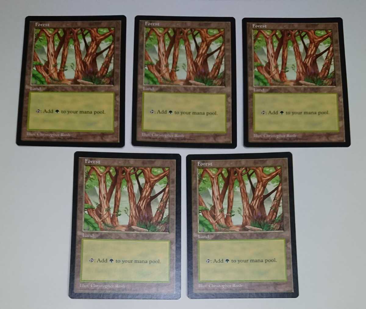 Forest/森 APAC2ランド 5枚セットIllus.Christopher Rush マジック ザ ギャザリング MTG(土地)｜売買さ ...