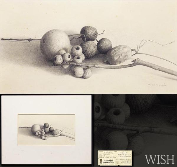真作 WISH 山中雅彦 習作 鉛筆 日動画廊取扱 1986年八月会展出品作 〇リアリズム巨匠 ホキ美術館収蔵画家 #21122001(静物画 ...