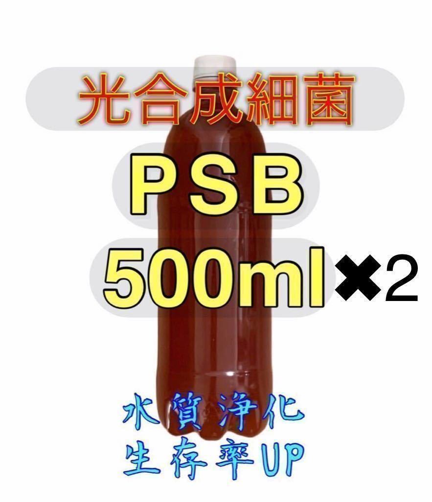 光合成細菌PSB 1000ml 水質浄化 生存率UP メダカ めだか 卵 金魚 熱帯魚 稚魚 針子 ミジンコやゾウリムシにも 説明書付き(めだか)｜売買されたオークション情報、yahooの商品 ...