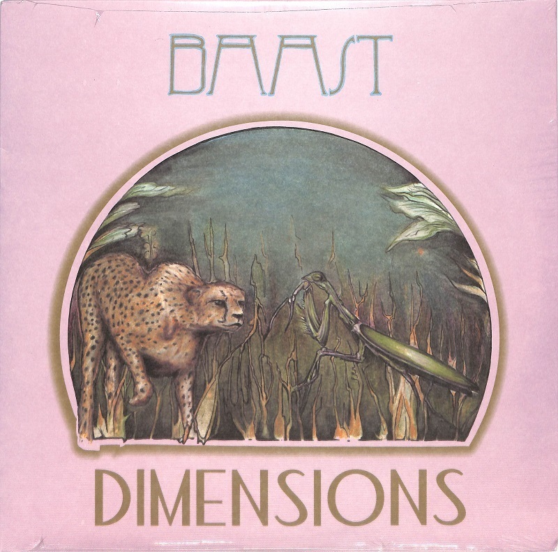 Baast / Dimensions ジャズ USA盤 レコード LP VINYL盤 / A078(ジャズ一般)｜売買されたオークション情報 ...