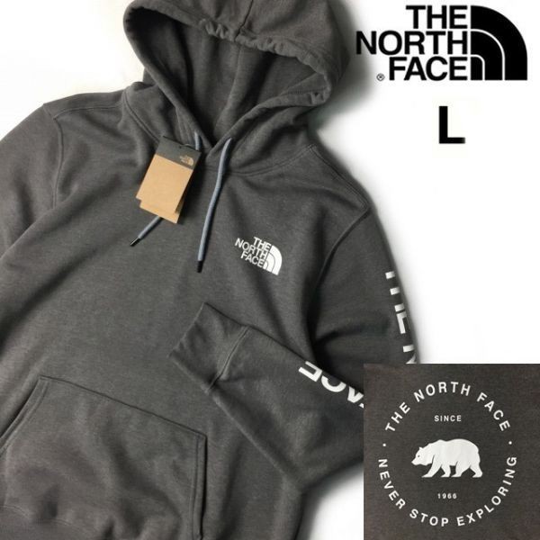 1円 売切 正規 THE NORTH FACE BEARSCAPE PULLOVER HOODIE パーカー US限定 袖ロゴ クマ 裏起毛 ...