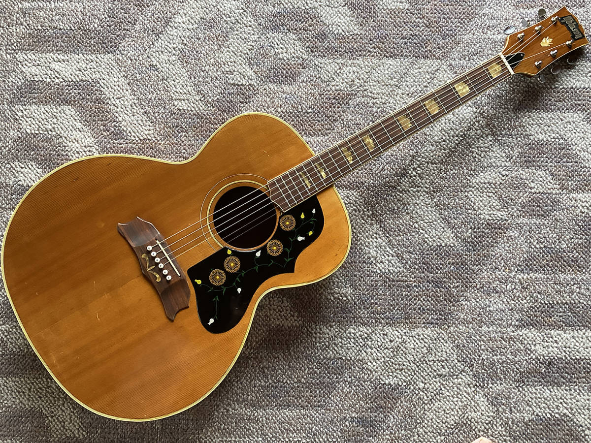 Tomson トムソン TJ-201G J-400 Gibson J200モデル サイド＆バック＜見事なフレイム メイプル＞音最高(その他 ...