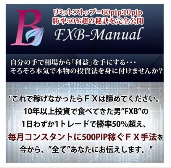 FXB-Manual 2014 PDF72p/動画46/特典付き + FXB-Manual 熱血編 前編 後編動画/Q&A動画 フルセット ...