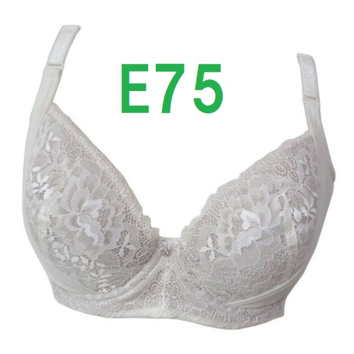 E75 シルクベージュ 脇高ブラジャー ワイヤー入り 補正下着 2重リフトアップパネル カップ裏 綿100％ 定価：2189円(75)｜売買されたオークション情報、yahooの商品情報を ...