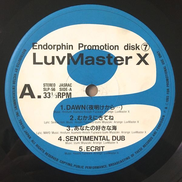 稀少 PROMO ONLY LUV MASTER X 藤原ヒロシ + DUB MASTER X / ENDORPHIN PROMOTION ...
