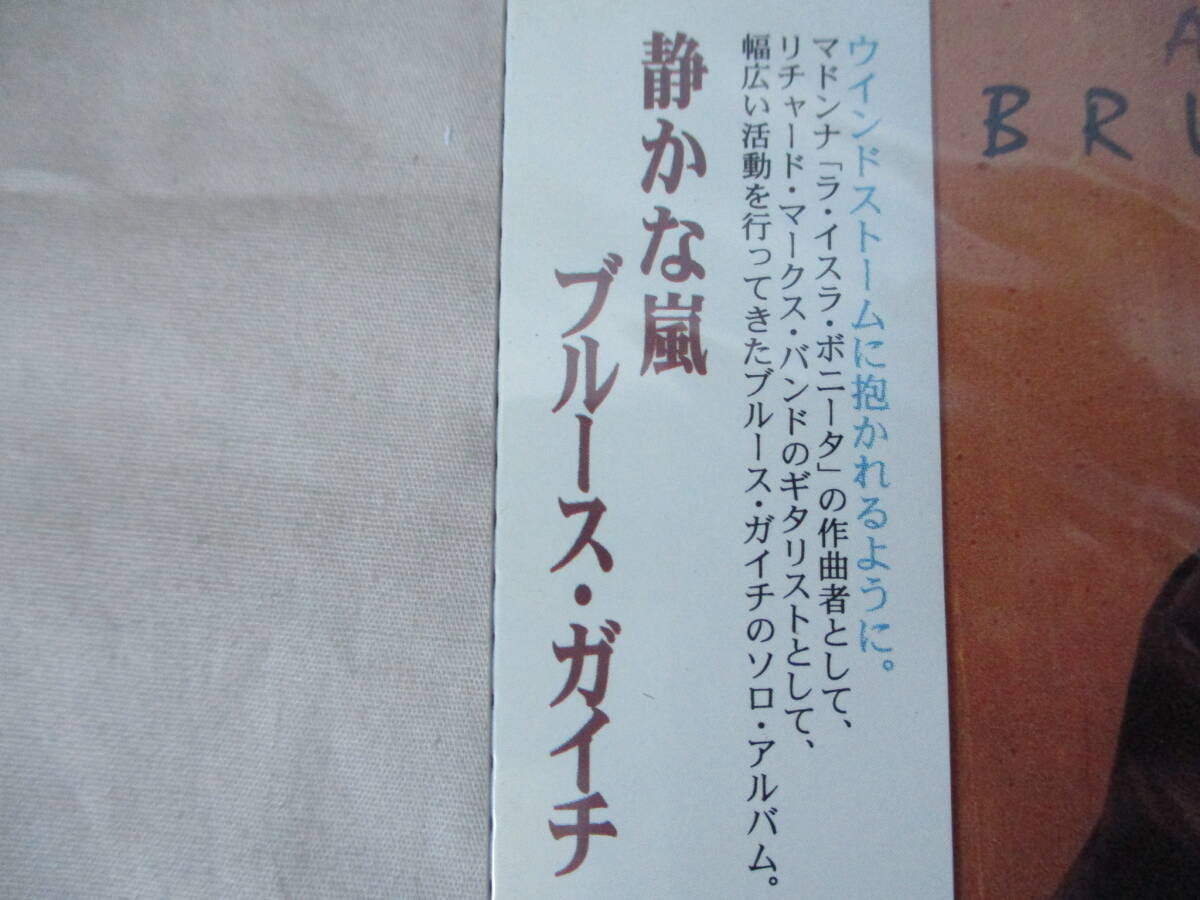 BRUCE GAITSCH A Lyre In A Windstorm 静かな嵐 ’95 AOR系セッションギタリスト Richard ...