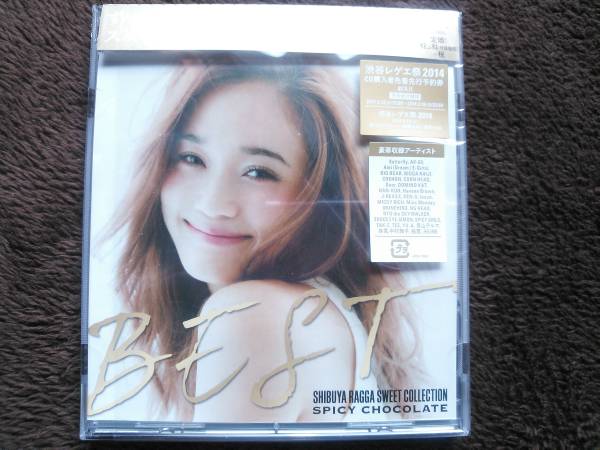 通常盤 SPICY CHOCOLATE ずっとスパイシーチョコレート(コンピレーション、オムニバス)｜売買されたオークション情報、yahooの商品情報をアーカイブ公開 - オークファン ...