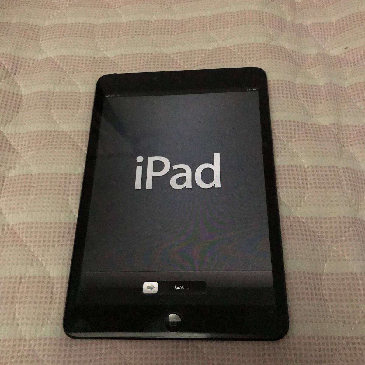 初代iPadmini(iPad本体)｜売買されたオークション情報、yahooの商品情報をアーカイブ公開 - オークファン（aucfan.com）