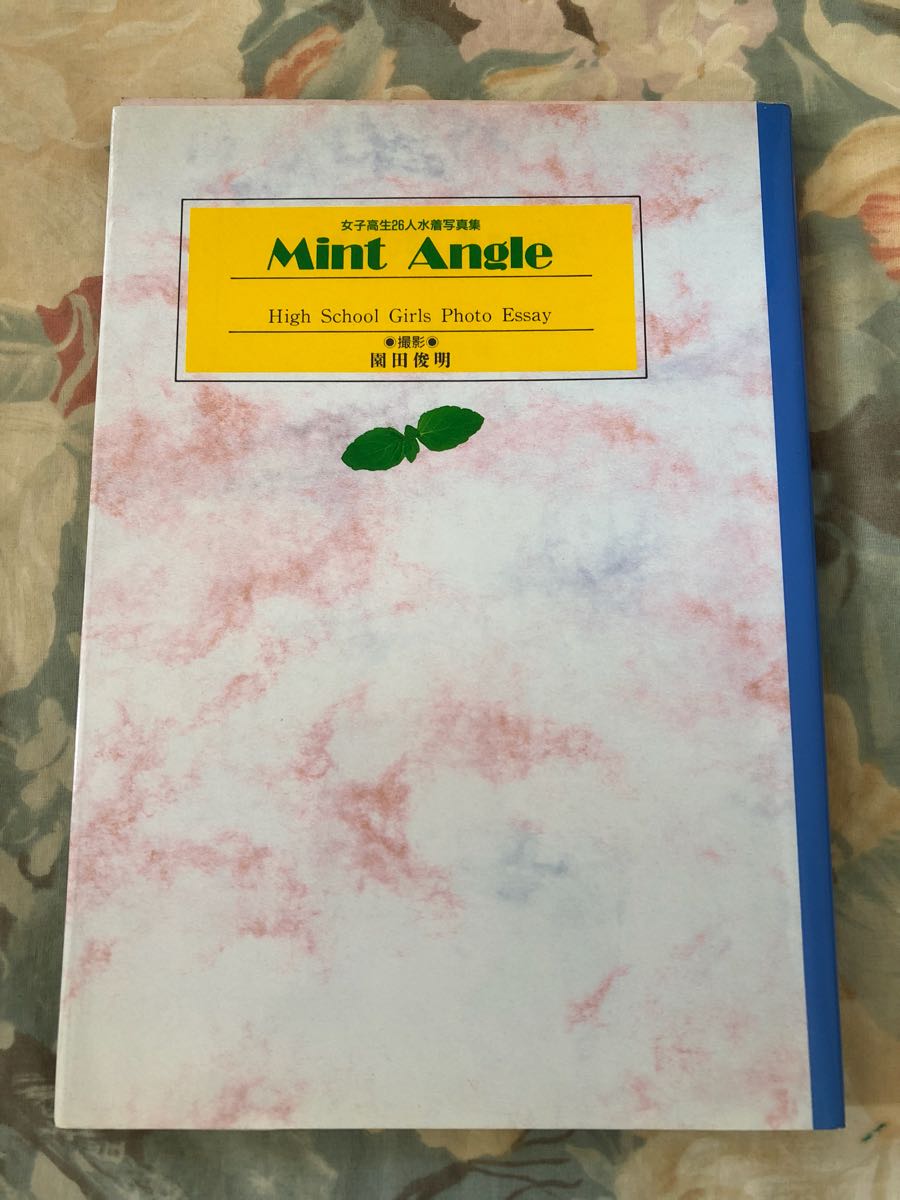 Mint Angle みんとあんぐる 女子高生26人写真集 園田俊明 良好(複数被写体)｜売買されたオークション情報、yahooの商品情報をアーカイブ公開 - オークファン（aucfan.com）