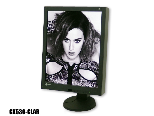 EIZO/ナナオ GX530-CLAR RadiFerce 使用1 119時間 15メガピクセル 21.3型モノクロ 映り良好(21インチ ...