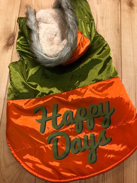 犬3Lくらいダウン風ジャンパー暖かアウター柴犬等 n890(ジャケット、上着)｜売買されたオークション情報、yahooの商品情報をアーカイブ公開 - オークファン（aucfan.com）