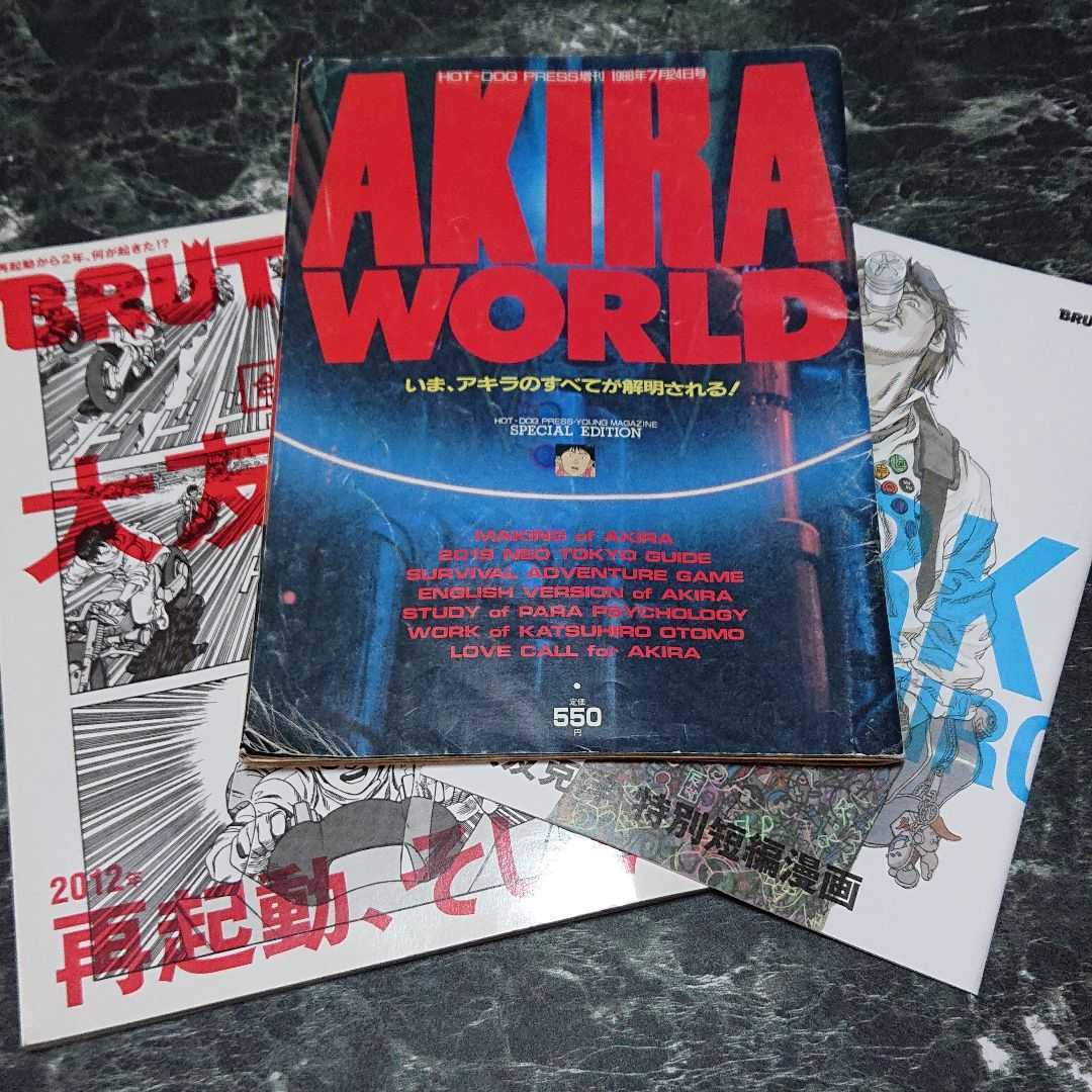 HOT-DOG PRESS AKIRA WORLD/BRUTUS 大友克洋 2冊セット(サブカルチャー)｜売買されたオークション情報 ...