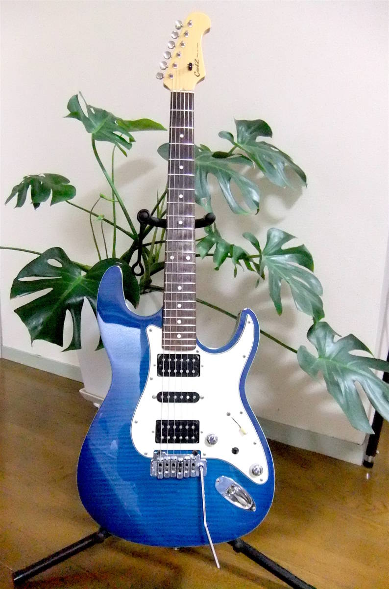 Cool Z FGN フジゲン製 ZS-1R HSH FM GOTOHマグナムロック ウィルキンソンVS(本体)｜売買されたオークション情報 ...