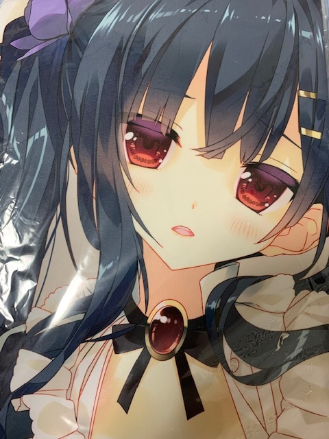 ActiveMover フラワーナイトガール トリカブト 抱き枕カバー 有河サトル(抱き枕)｜売買されたオークション情報、yahooの商品情報をアーカイブ公開 - オークファン（aucfan.com）