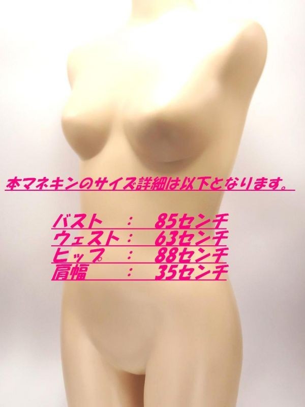 CATSelect Oバック 穴あき オープンクロッチ マイクロビキニ 極小 過激 セクシーランジェリー コスプレ ビキニ ドール 下着 b6 パープル F(Lサイズ)｜売買されたオークション ...