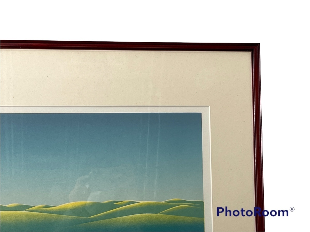 絵画 Daniel Sciora 砂漠 ダニエルスキオラ 風景画 77/175 額縁付 フランス 巨匠 ダニエル スキオラ 鑑定保証書付 ...