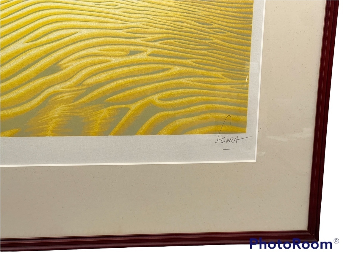 絵画 Daniel Sciora 砂漠 ダニエルスキオラ 風景画 77/175 額縁付 フランス 巨匠 ダニエル スキオラ 鑑定保証書付 ...