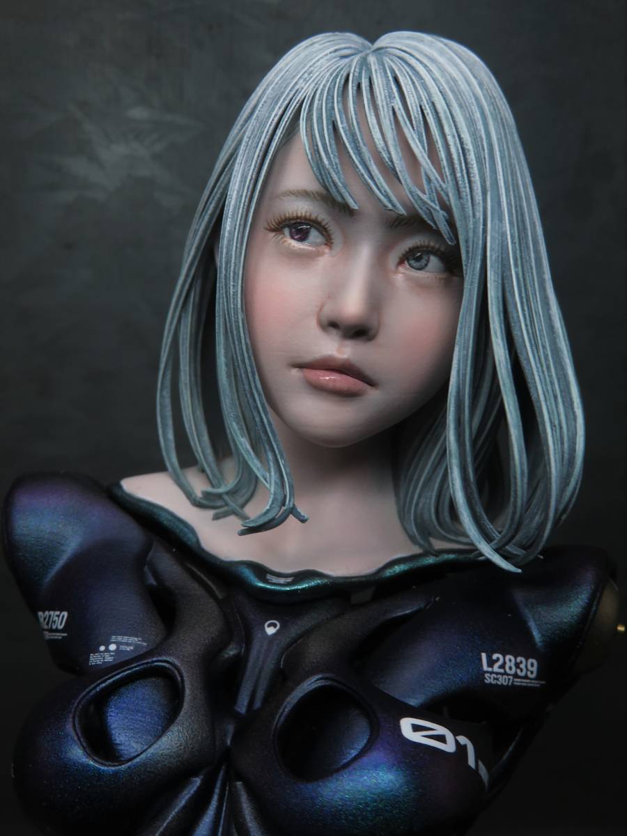 海洋堂 Android HB01 塗装済み完成品(その他)｜売買されたオークション情報、yahooの商品情報をアーカイブ公開 - オークファン ...