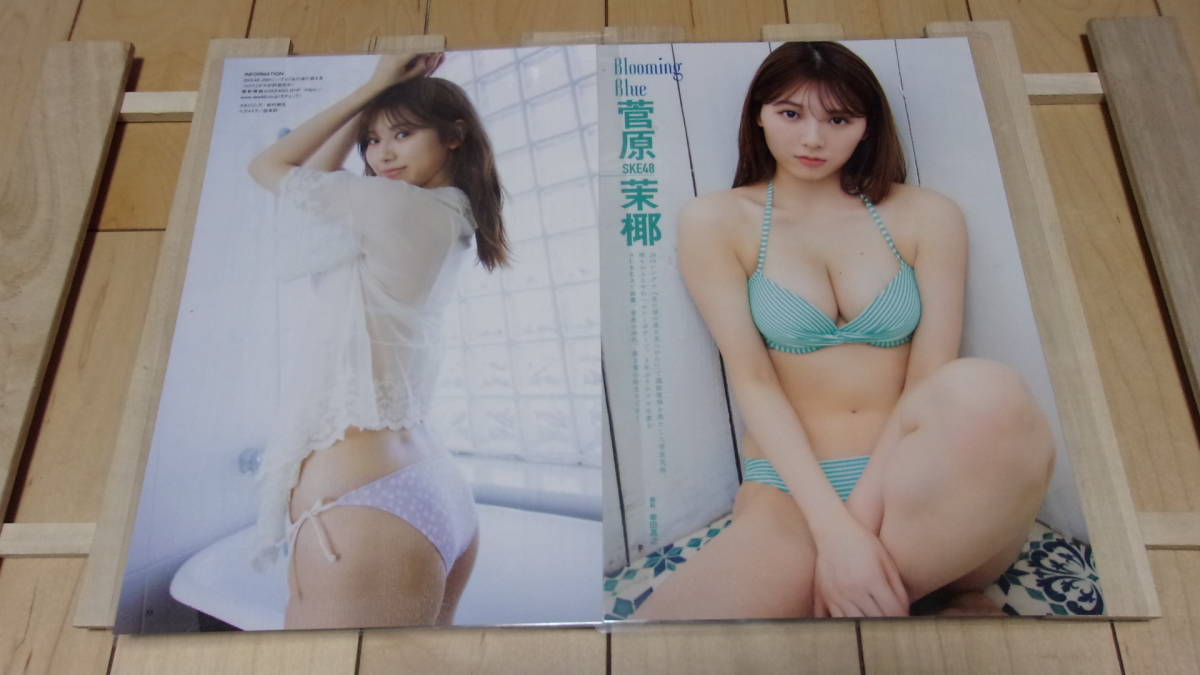 菅原茉椰 SKE48 彡雑誌切抜A4ラミネート8P 美乳 美脚 美尻 E34(タレント)｜売買されたオークション情報、yahooの商品情報をアーカイブ公開 - オークファン（aucfan.com）
