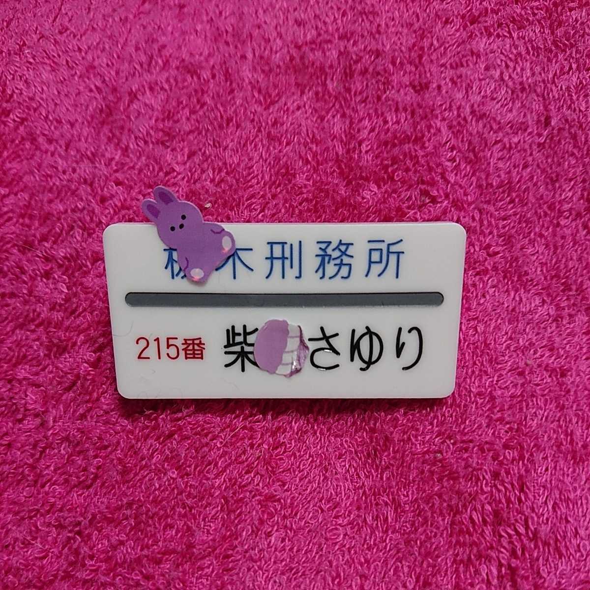 創作名札 ネームプレート ワニ口ピン タイプ 女囚 女子刑務所 受刑者 囚人 N711y(学生服)｜売買されたオークション情報、yahooの ...