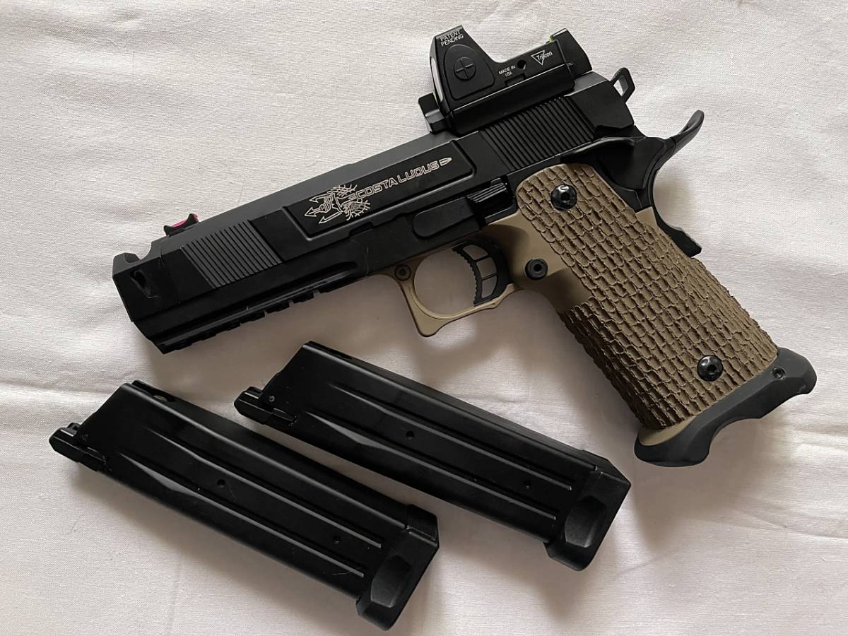 ARMY ARMAMENT R501 Costa Carry Comp マーキング入り ダットサイト付き インナーバレルPDI DA(ガスガン ...